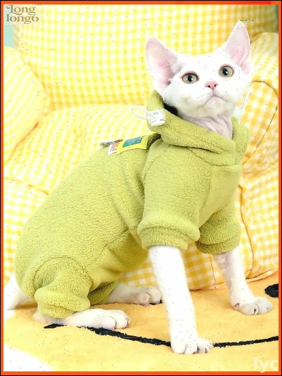 Эксклюзивный утепленный комбинезон для бесшерстных кошек, модель с капюшоном и полным покрытием всех четырех лап