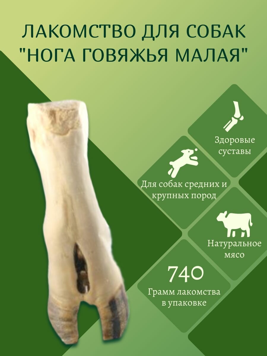 Лакомство для собак "Нога говяжья малая" (мягкая упаковка), TitBit, 740 гр