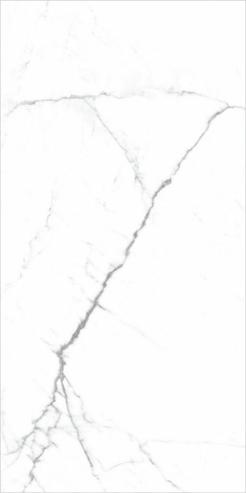 Premium GT Керамогранит Olivia PGT Бел мат 60x120 арт. PGT120609403MGR (цена за 1.44 м2)