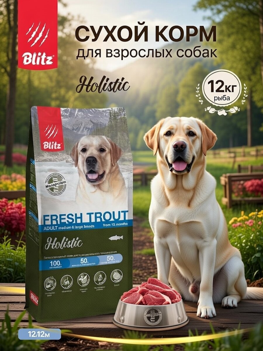 Сухой корм со свежей форелью Blitz Holistic Fresh Trout для взрослых собак средних и крупных пород 12 кг