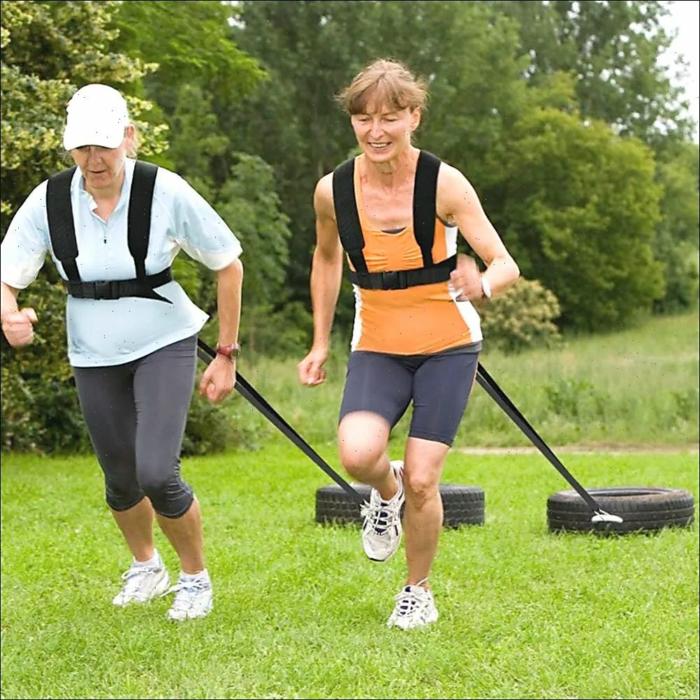 Упряжка для саней