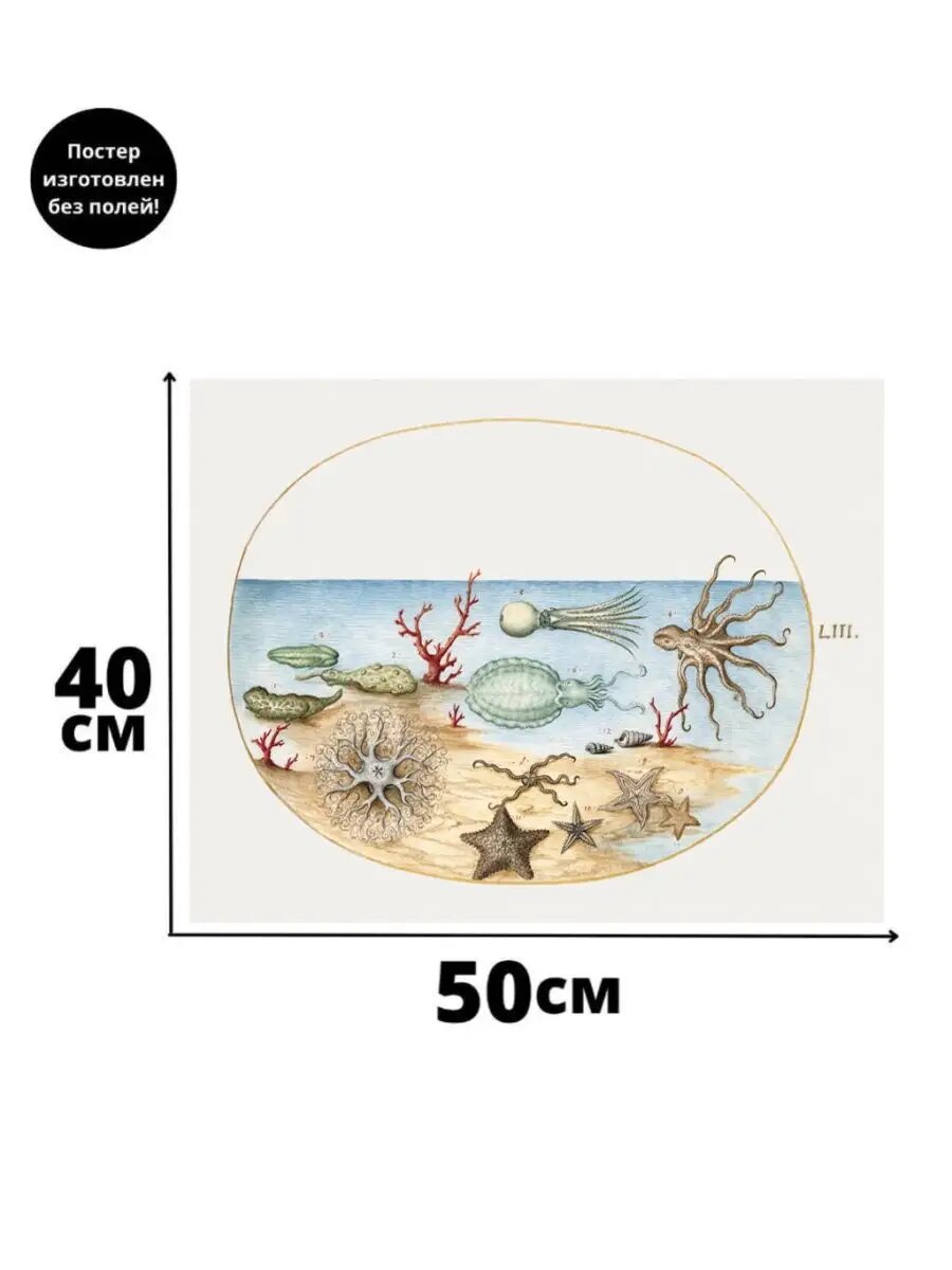 Постер в морском стиле ретро рисунок, 50 x 40 см, бумага, без рамы