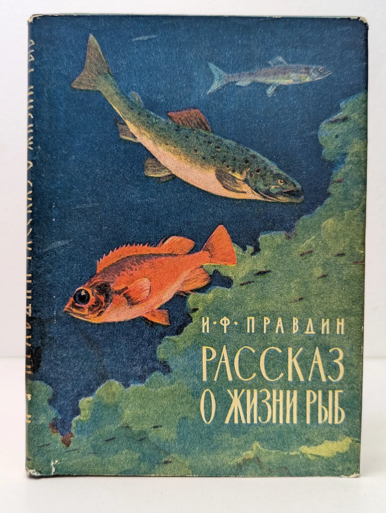 Рассказ о жизни рыб Правдин Иван Федорович 1963