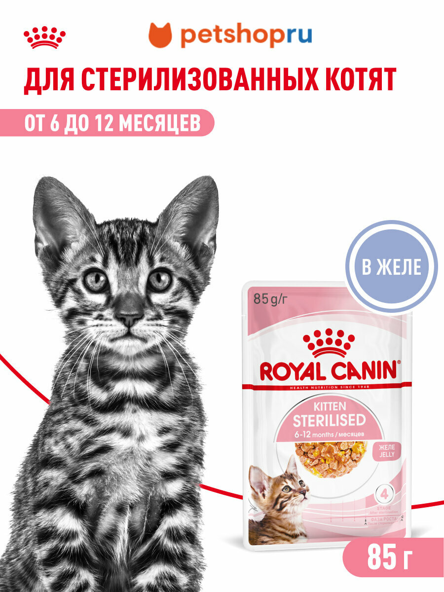 Royal Canin Для стерилизованных котят (в возрасте от 6 до 12 месяцев), мелкие кусочки в желе, Kitten Sterilised