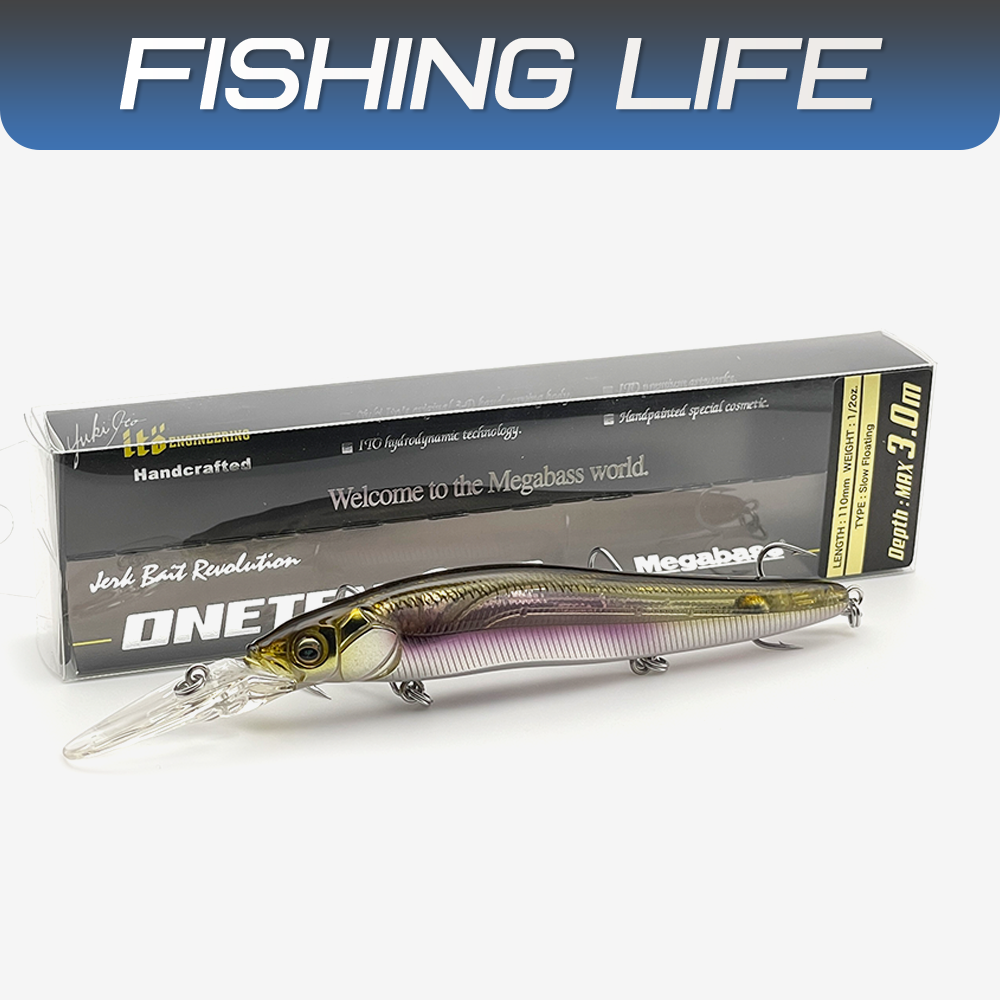 Воблер Megabass ONETEN R+2 (110мм, 14гр, slow floating) - ITO WAKASAGI