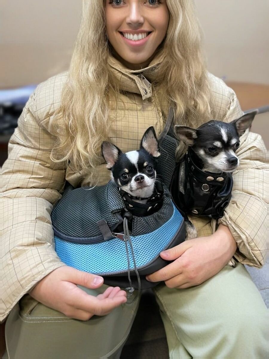 Переноска для животных, слинг сумка дорожная для собак и кошек, синий S 35x19.8см до 4 кг