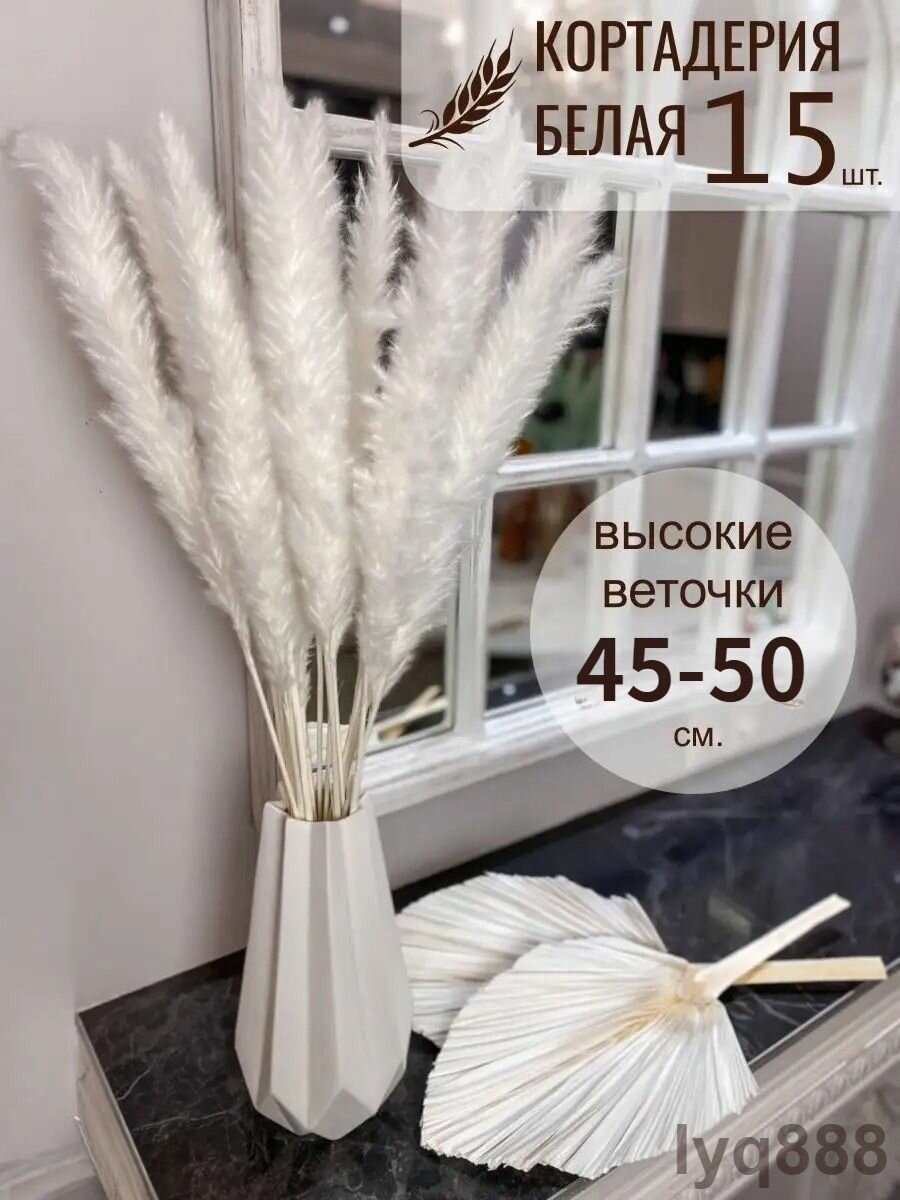 Сухоцветы Камышовая трава, 50 см, 70 гр, 15 шт