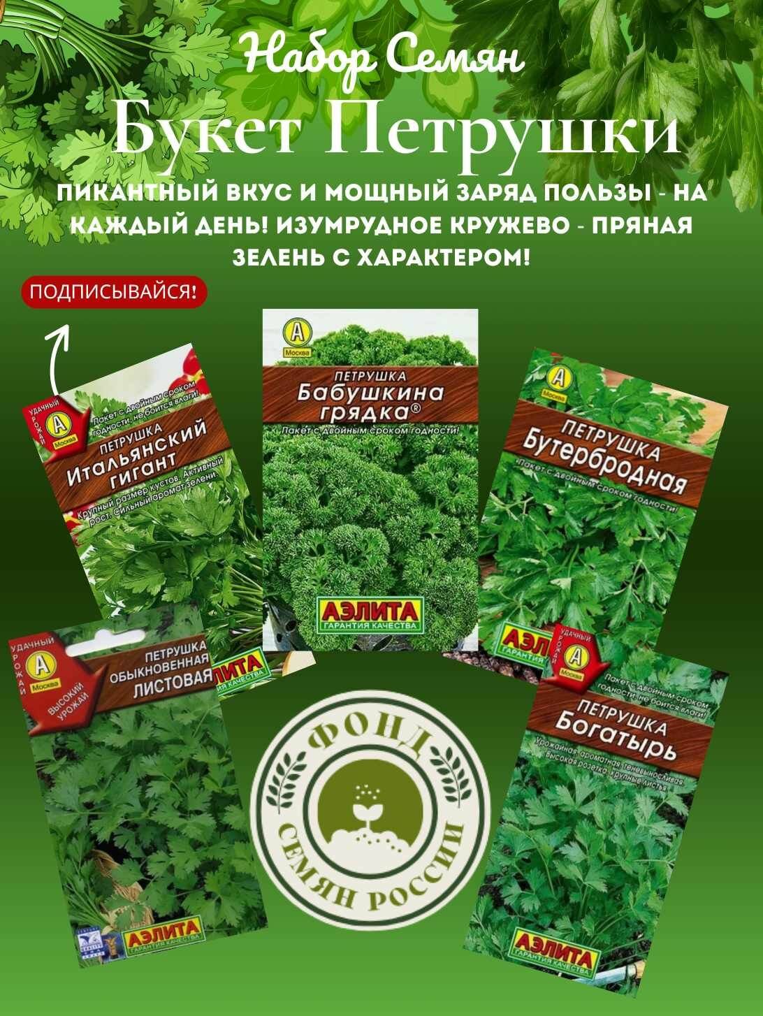 Набор семян для посадки, Петрушка, 5-ти сортов, 10гр. семян.