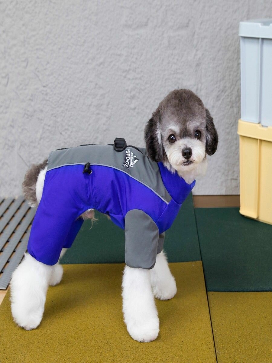 Модная зимняя одежда для домашних питомцев стильная куртка с модным дизайном