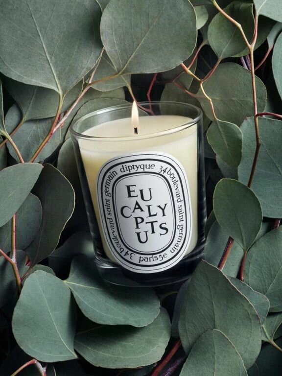 Ароматическая свеча Diptyque Eucalyptus, 190 г