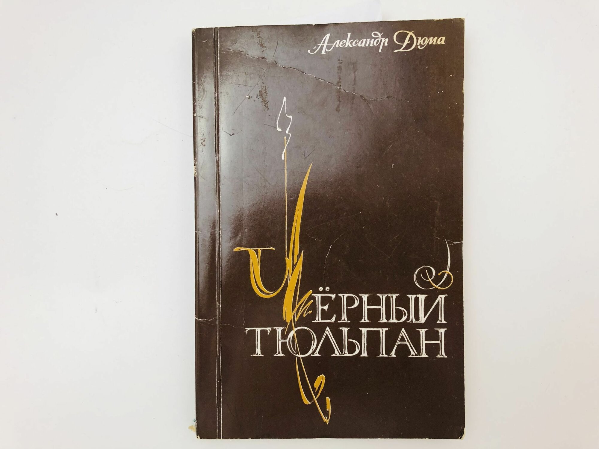 Черный тюльпан. Роман