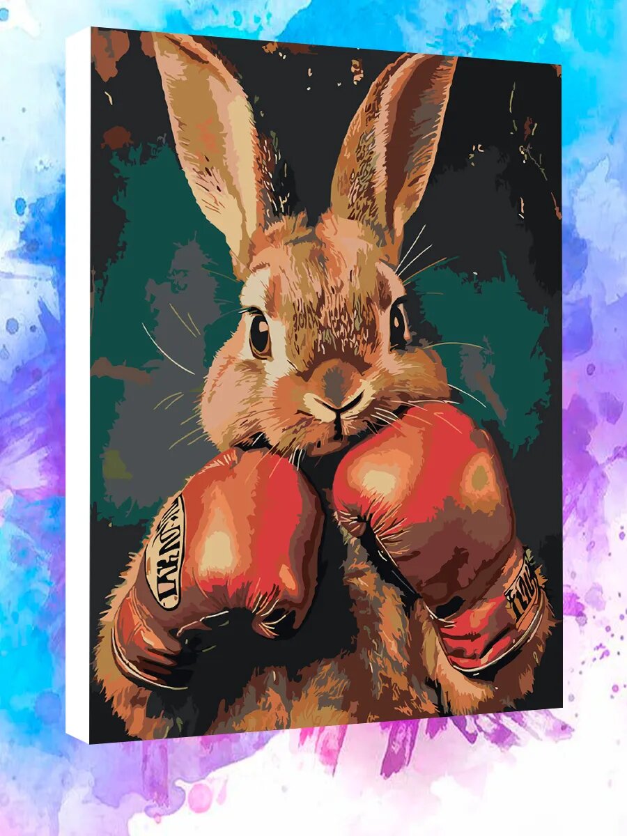 Картина по номерам Заяц Боксёр Бокс