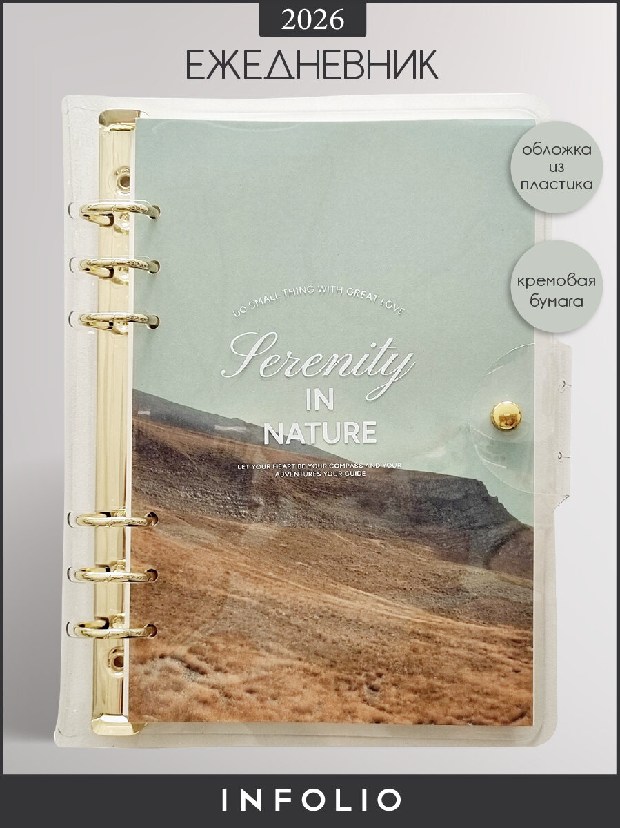Датированный ежедневник на кольцах 2026 INFOLIO "Breeze" А5 на 160 листов, мягкая обложка из пластика