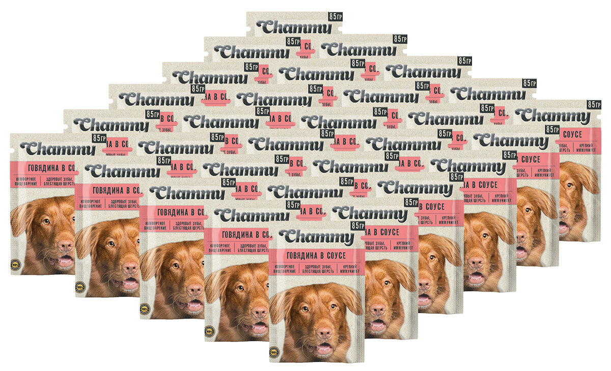 Корм влажный Chammy для взрослых собак с говядиной в соусе пауч 85 г х 30 шт