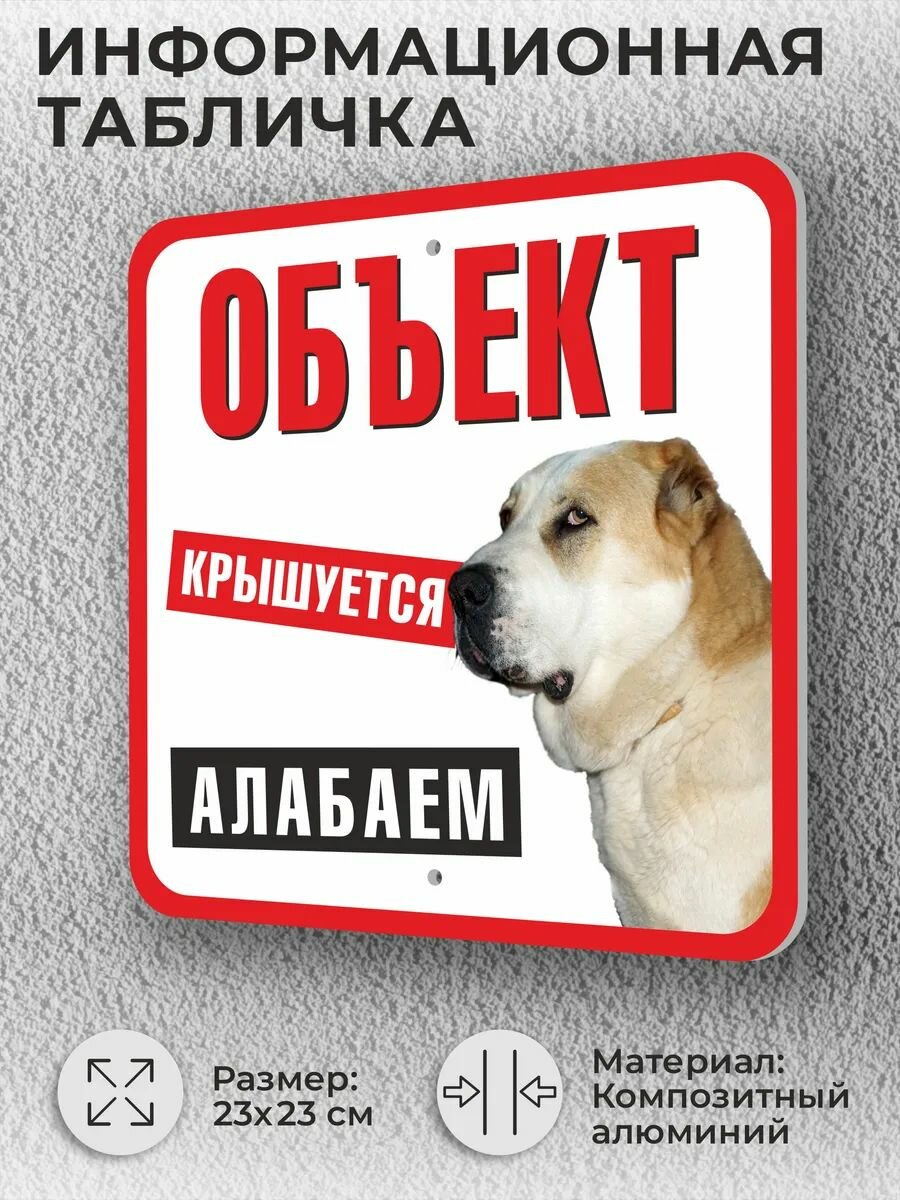 Уличная табличка "Осторожно злая собака, Алабай"