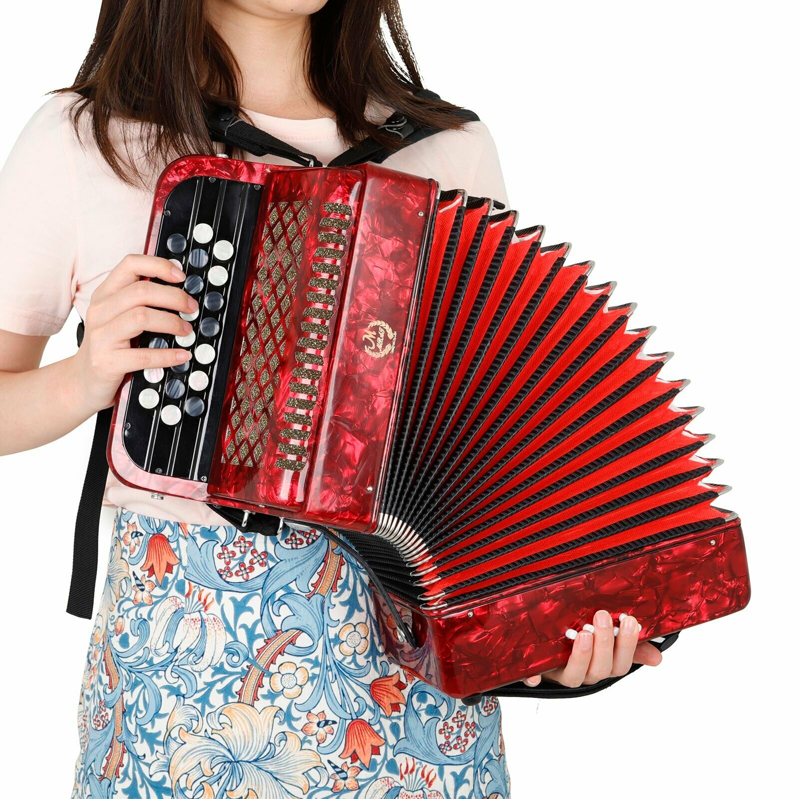 Баян — фото 1