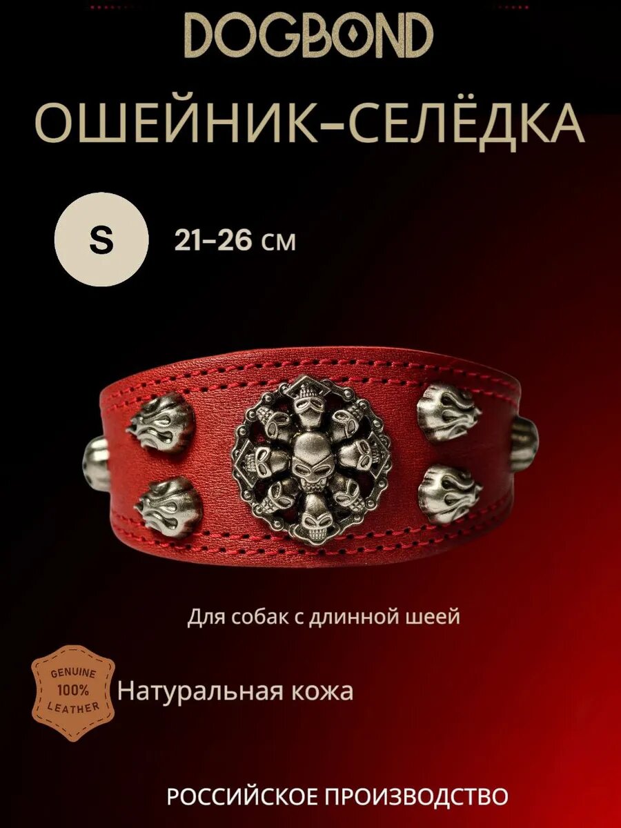 Dogbond ошейник-селедка для малых пород