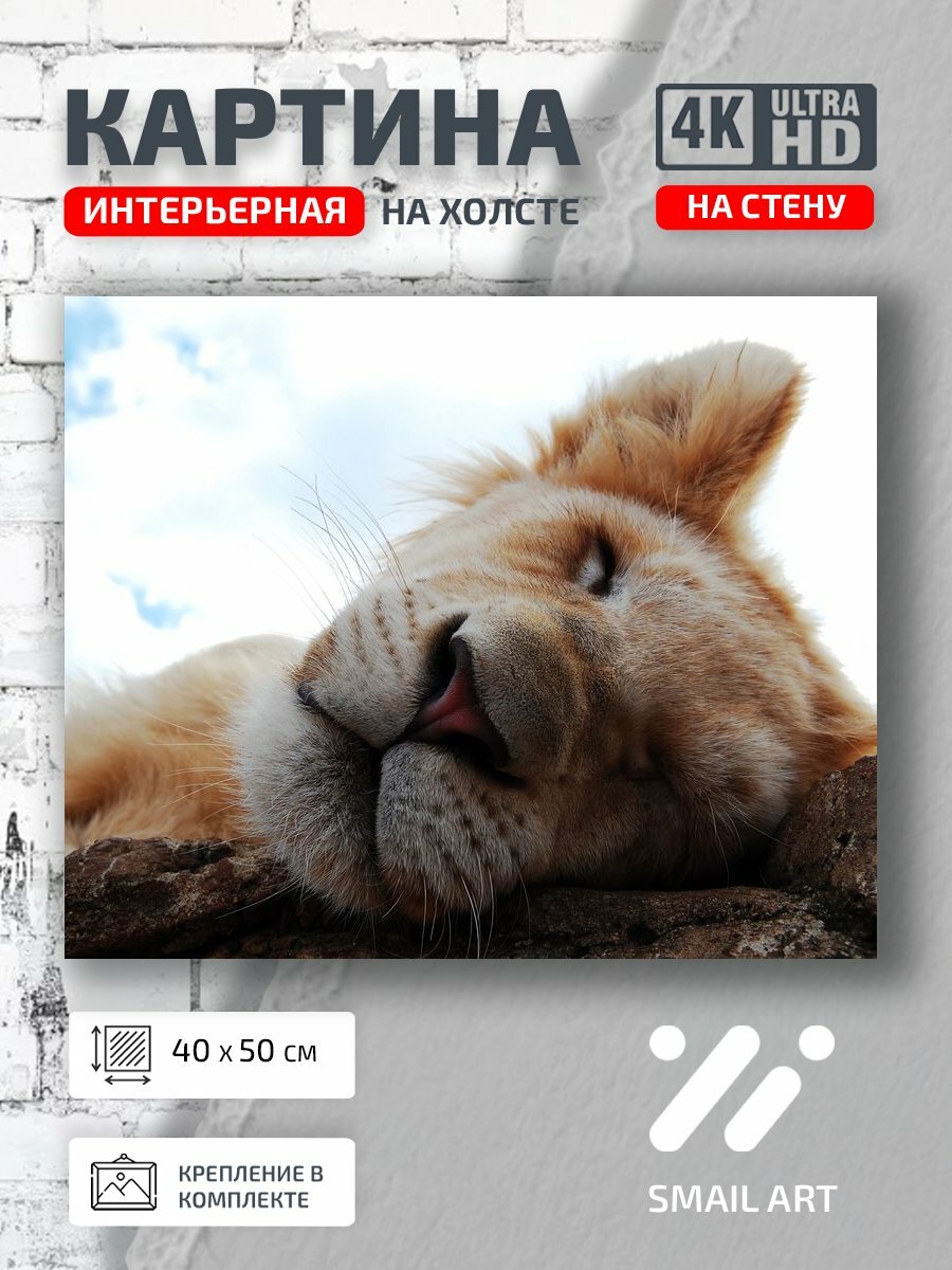 Картина на холсте интерьерная 40 на 50 на стену Львенок Mood для спальни атмосфера интерьер
