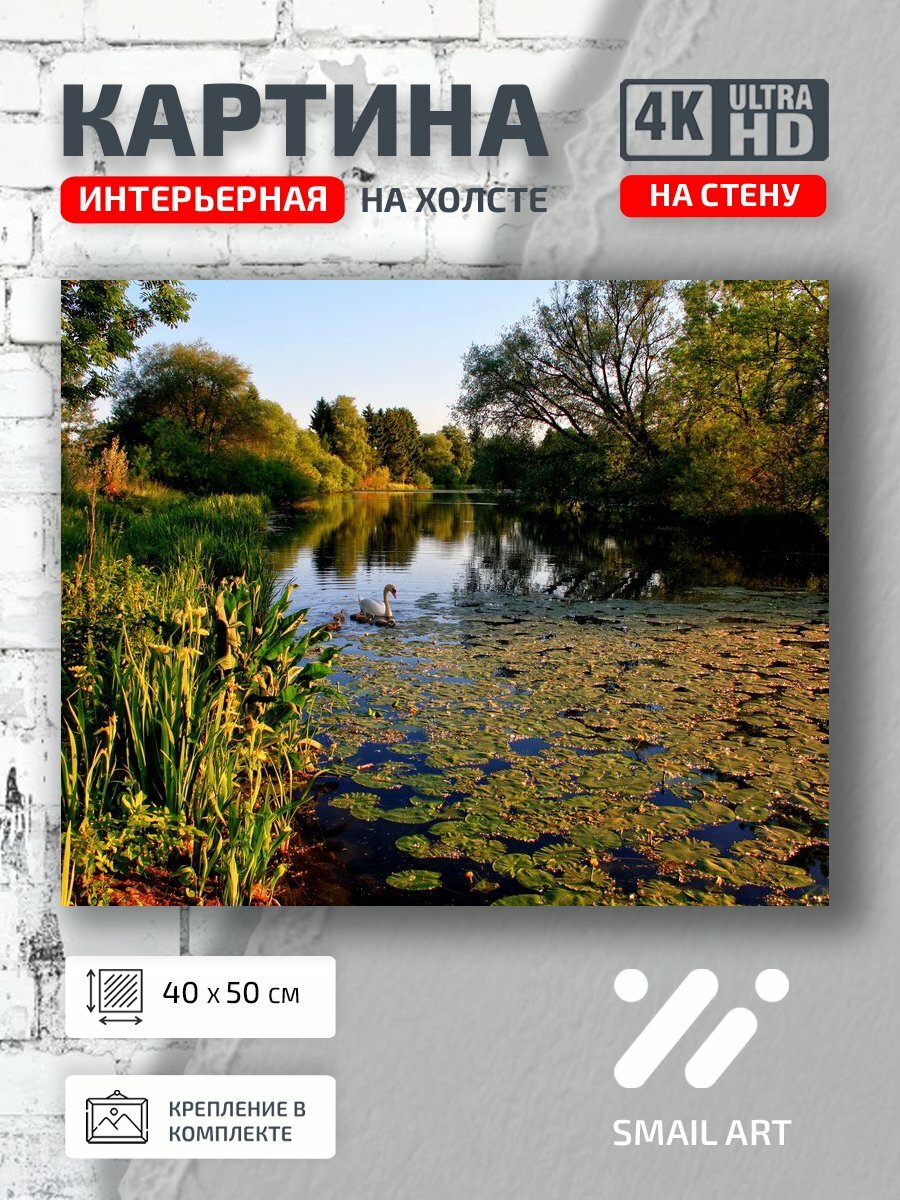 Картина на холсте интерьерная 40 на 50 на стену Озере Landscape для гостиной пейзаж декор