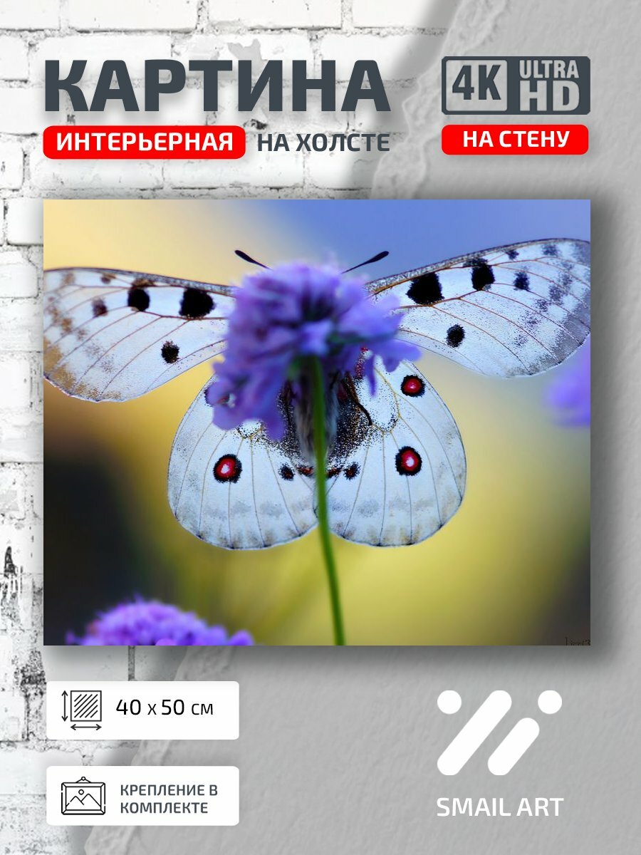 Картина на холсте интерьерная 40 на 50 на стену Цветок Landscape для спальни пейзаж декор