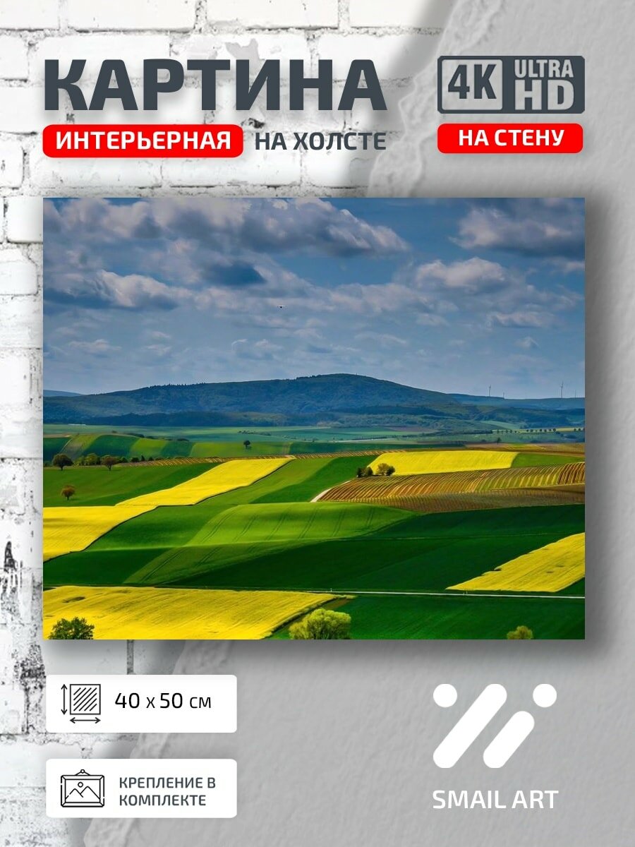 Картина на холсте интерьерная 40 на 50 на стену Германия холмы для кабинета атмосфера