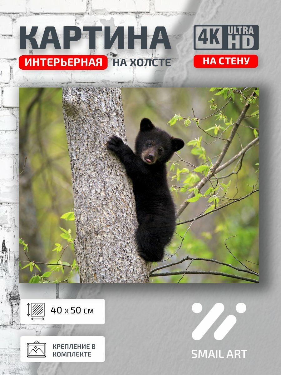 Картина на холсте интерьерная 40 на 50 на стену Дерево Landscape для гостиной пейзаж декор