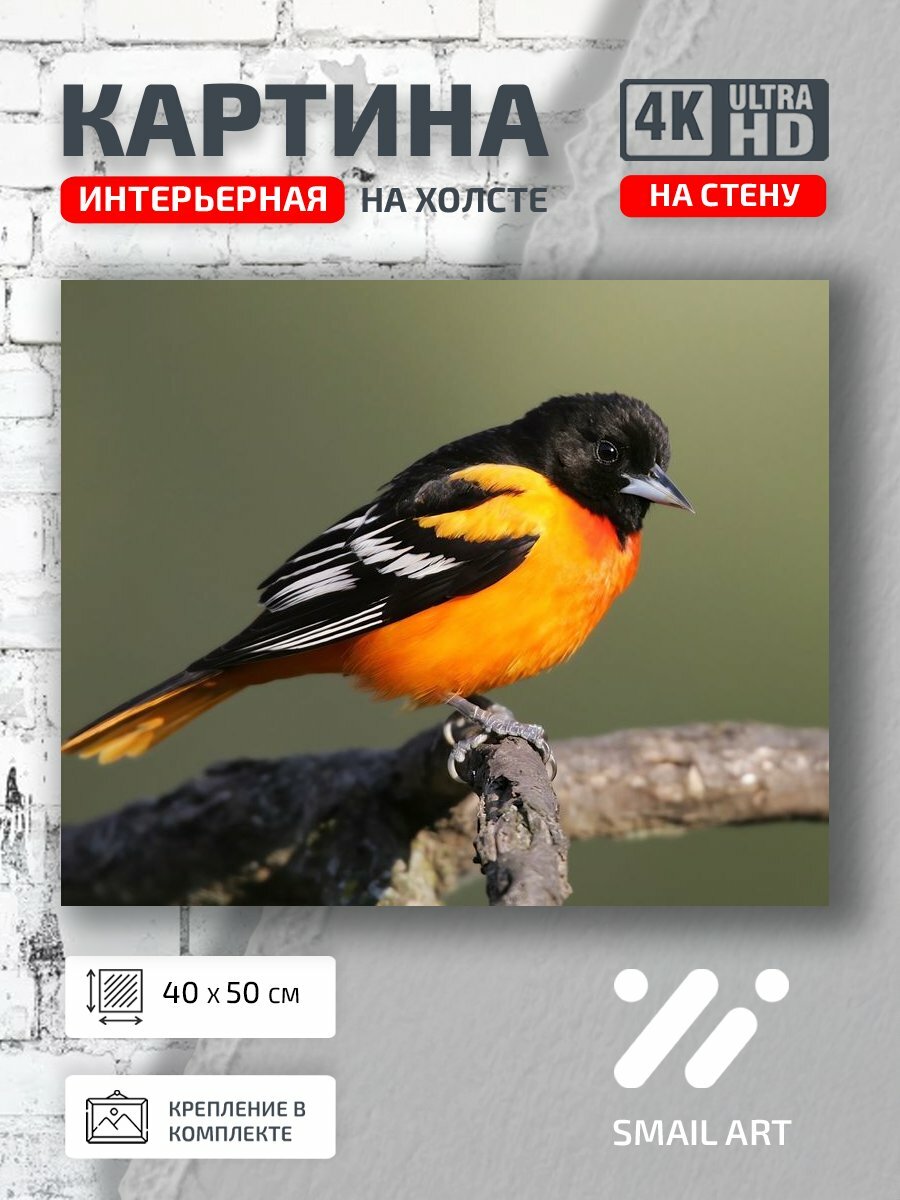 Картина на холсте интерьерная 40 на 50 на стену Иволга Landscape для кафе пейзаж интерьер