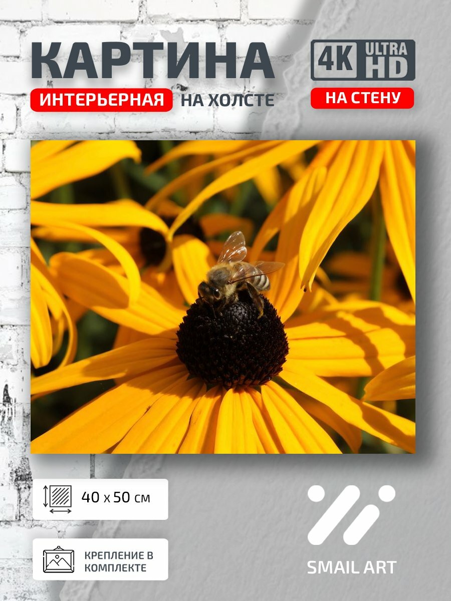 Картина на холсте интерьерная 40 на 50 на стену Опыление Mood для спальни атмосфера декор