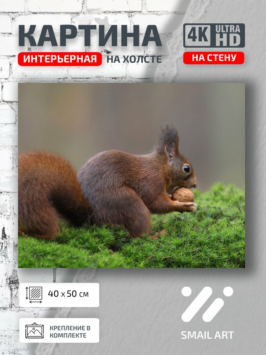 Картина на холсте интерьерная 40 на 50 на стену Мох Mood для гостиной атмосфера интерьер