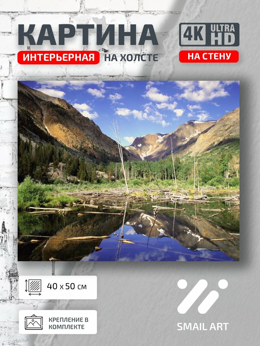 Картина на холсте интерьерная 40 на 50 на стену Стильная Sierra для офиса атмосфера декор
