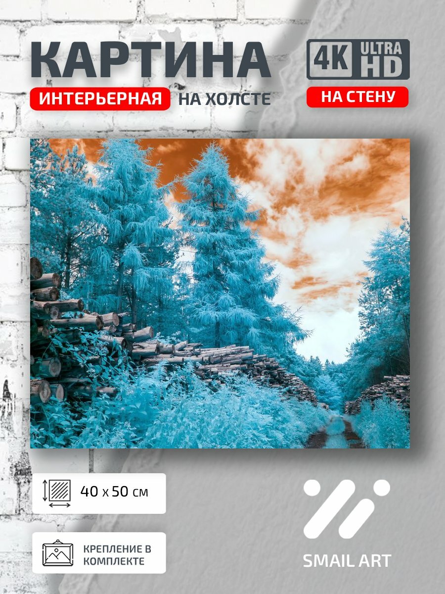 Картина на холсте интерьерная 40 на 50 на стену Небо Landscape для спальни пейзаж интерьер