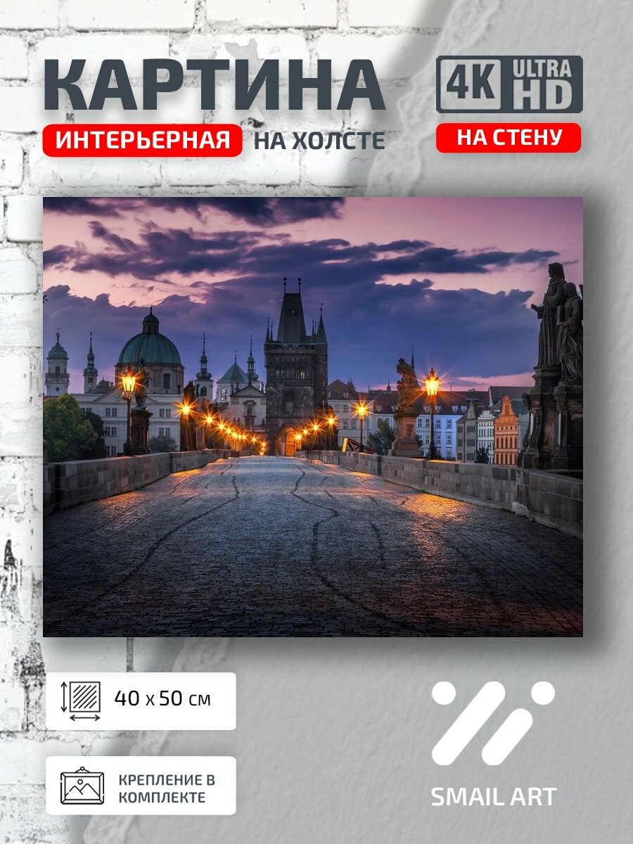 Картина на холсте интерьерная 40 на 50 на стену Город Прага для кабинета атмосфера