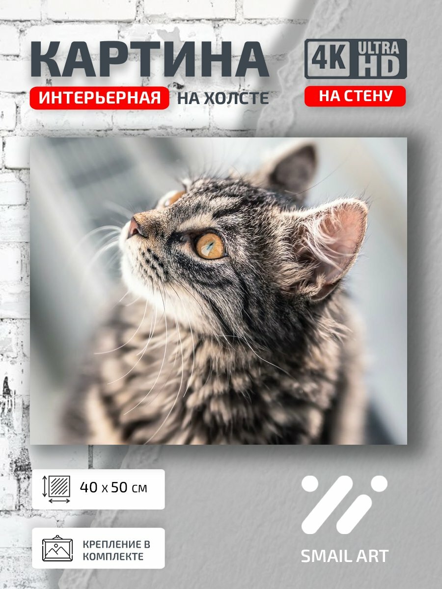 Картина на холсте интерьерная 40 на 50 на стену Глаза Animal для детской animal style декор