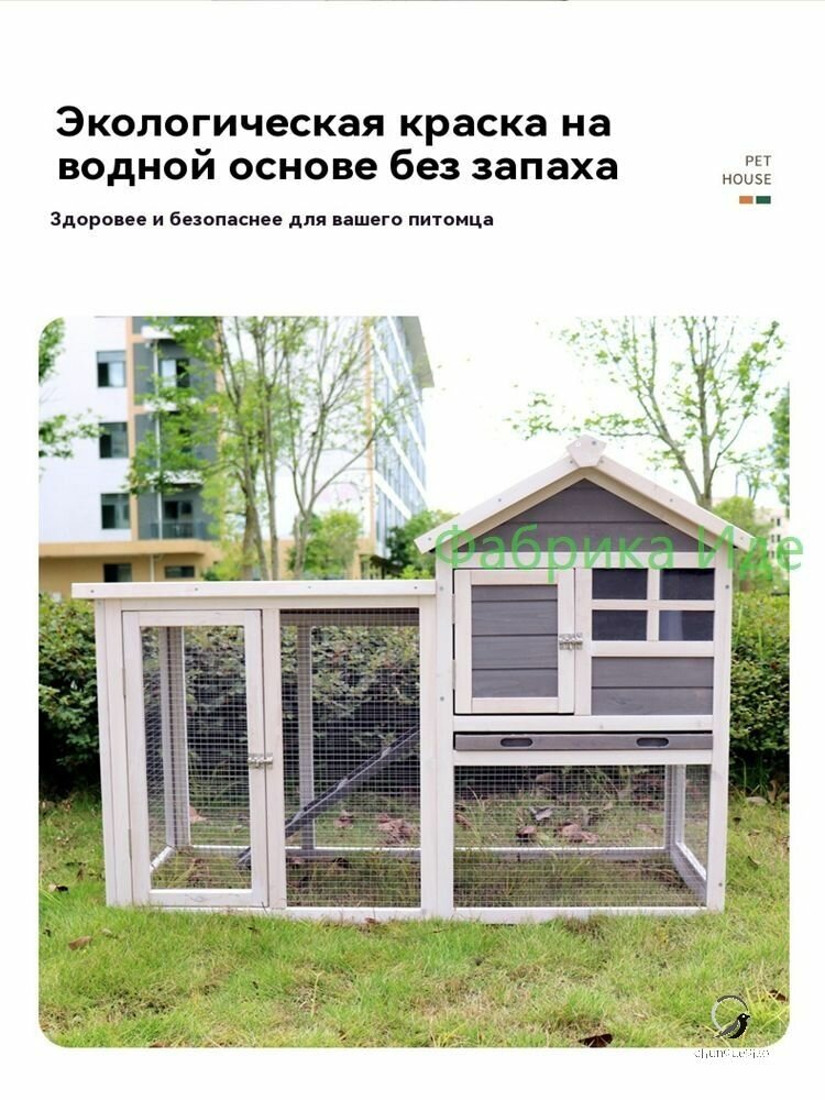 Курятник