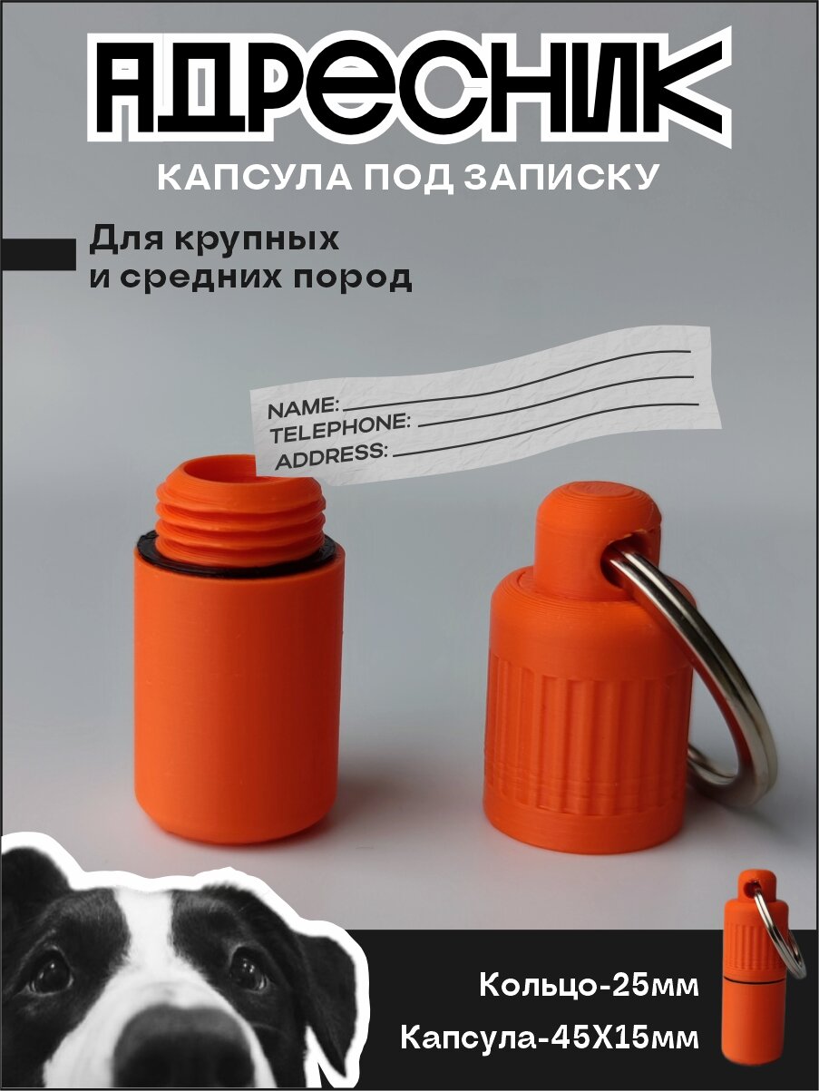 Адресник капсула на ошейник для крупных и средних собак оранжевый, 45х15мм, PETG пластик, бумажный вкладыш, Обормот
