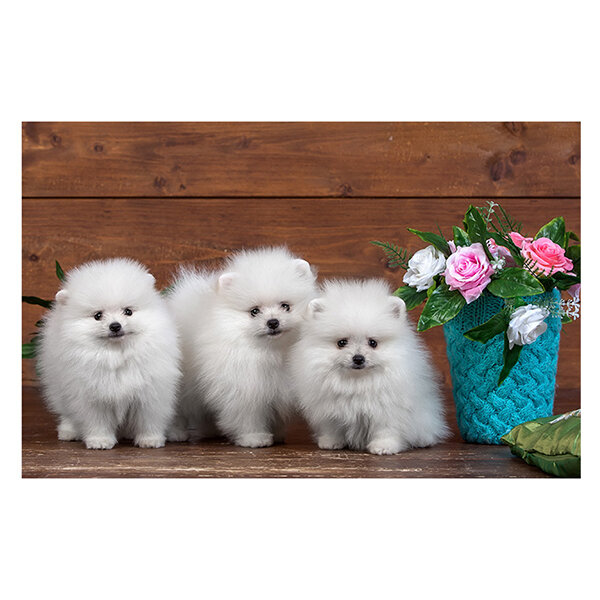 Картина алмазная Mazari "Собачки", 25*30 см, состав: холст, стразы, стилус, желеобразный клей, лоток, частичная выкладка