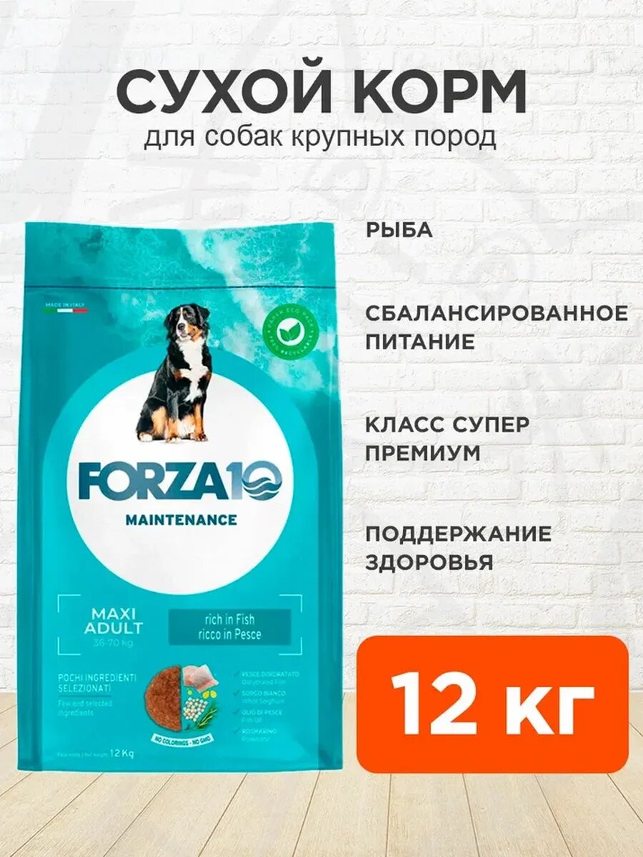Корм сухой Forza10 Dog Maintenance Adult Maxi для взрослых собак крупных пород с рыбой, 12 кг