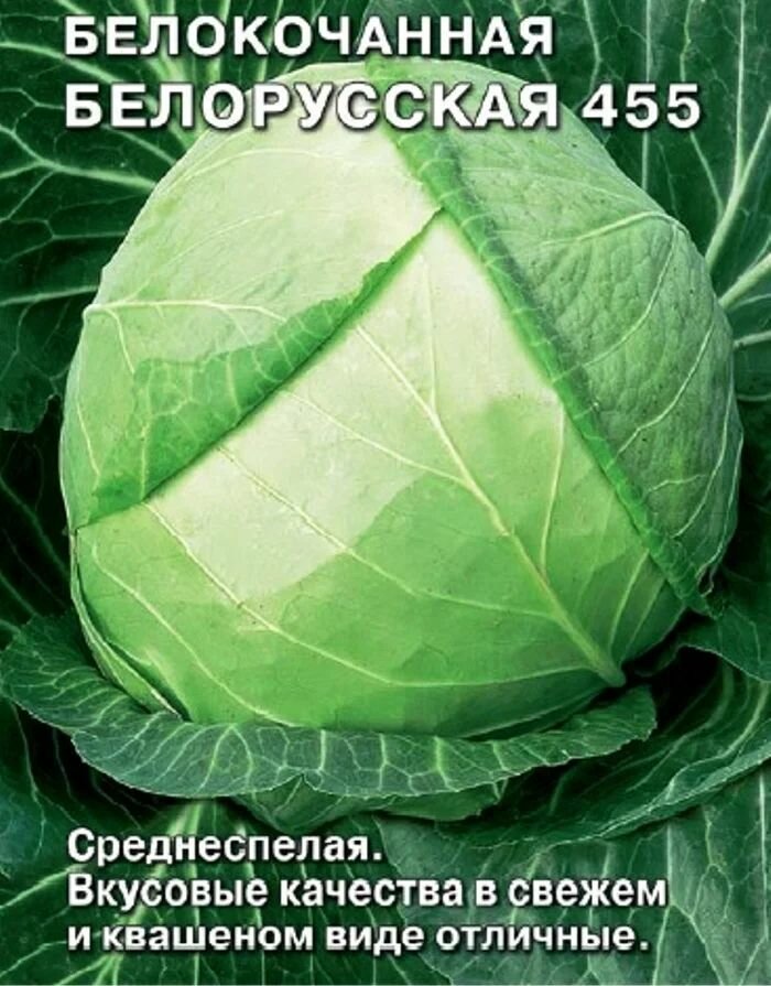 Коллекционные семена капусты б/к Белорусская 455