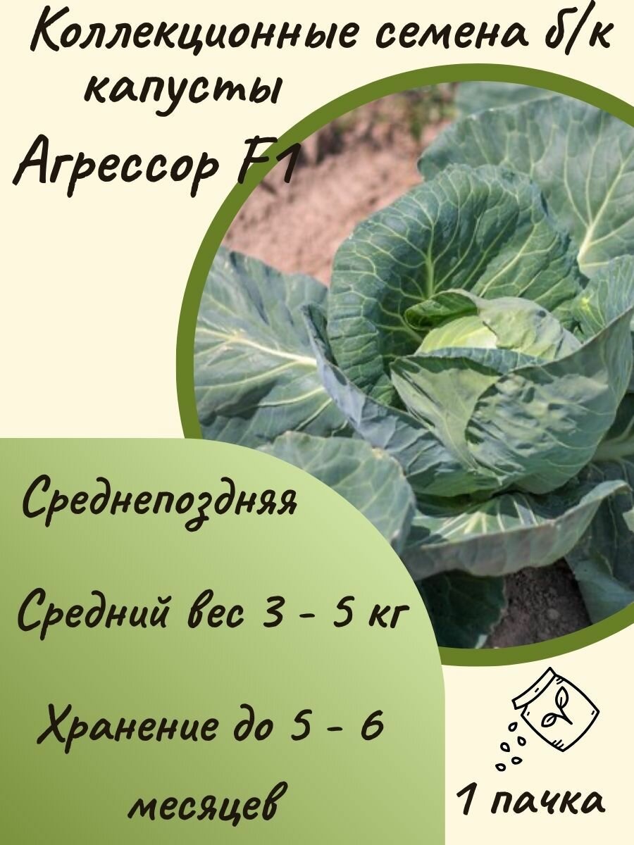 Коллекционные семена капусты б/к Агрессор F1, 10 шт. семян