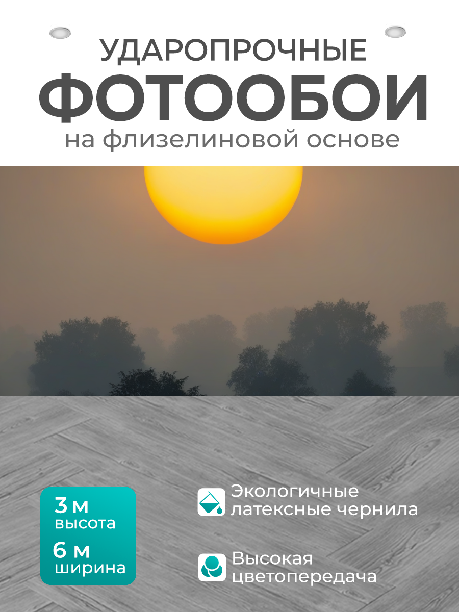 Фотообои моющиеся ударопрочные "Золотое солнце в туманном утре" 600x300 см. флизелиновые на стену