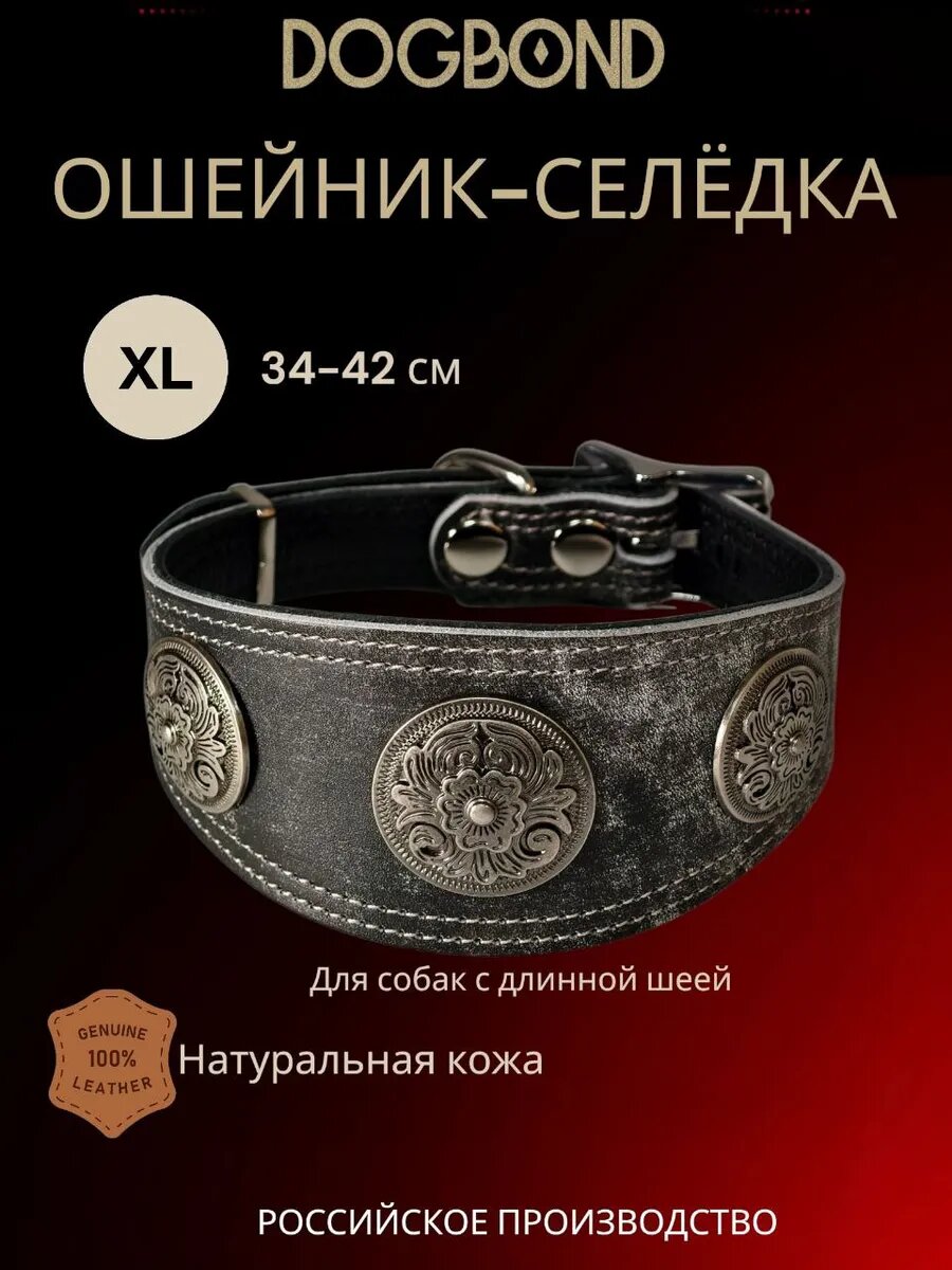 Ошейник-селедка Dogbond для грейхаундов и борзых собак