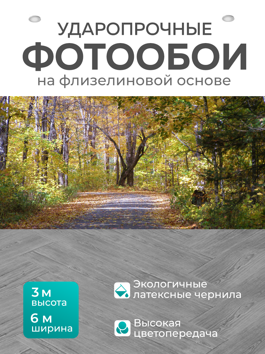 Фотообои моющиеся ударопрочные "Красивая дорога страны, в осень Красивая дорога страны, в осень красивая страны дорога осень" 600x300 см. флизелиновые на стену