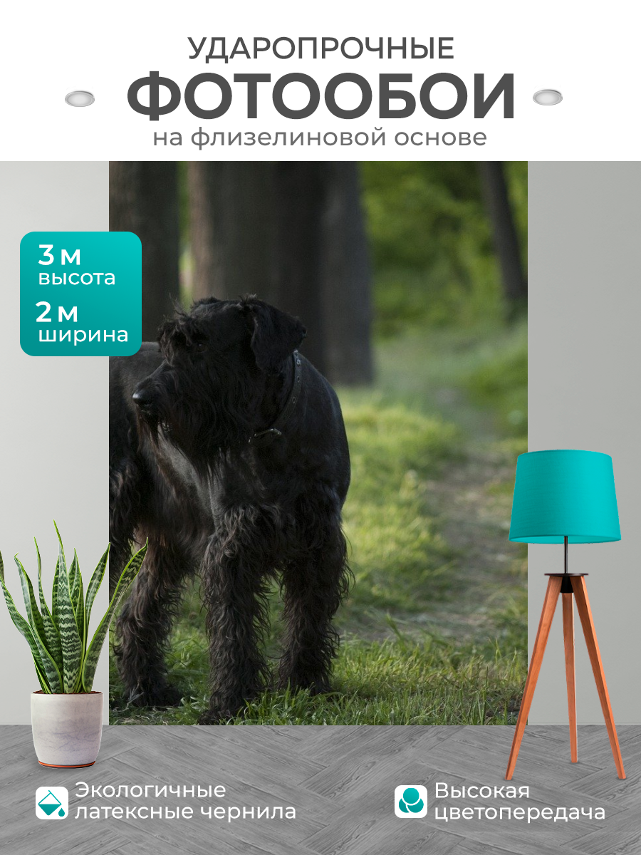 Фотообои моющиеся ударопрочные "Ризеншнауцер, собака, пути" 200x300 см. флизелиновые на стену