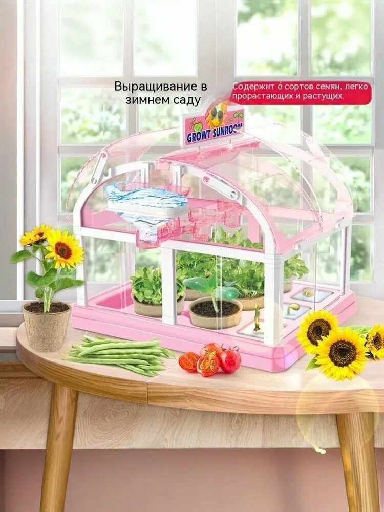 Детский солнечный сад, теплица для цветов и овощей, набор для наблюдения за растениями, игрушка для младших школьников, маленький научный эксперимент, рост растений