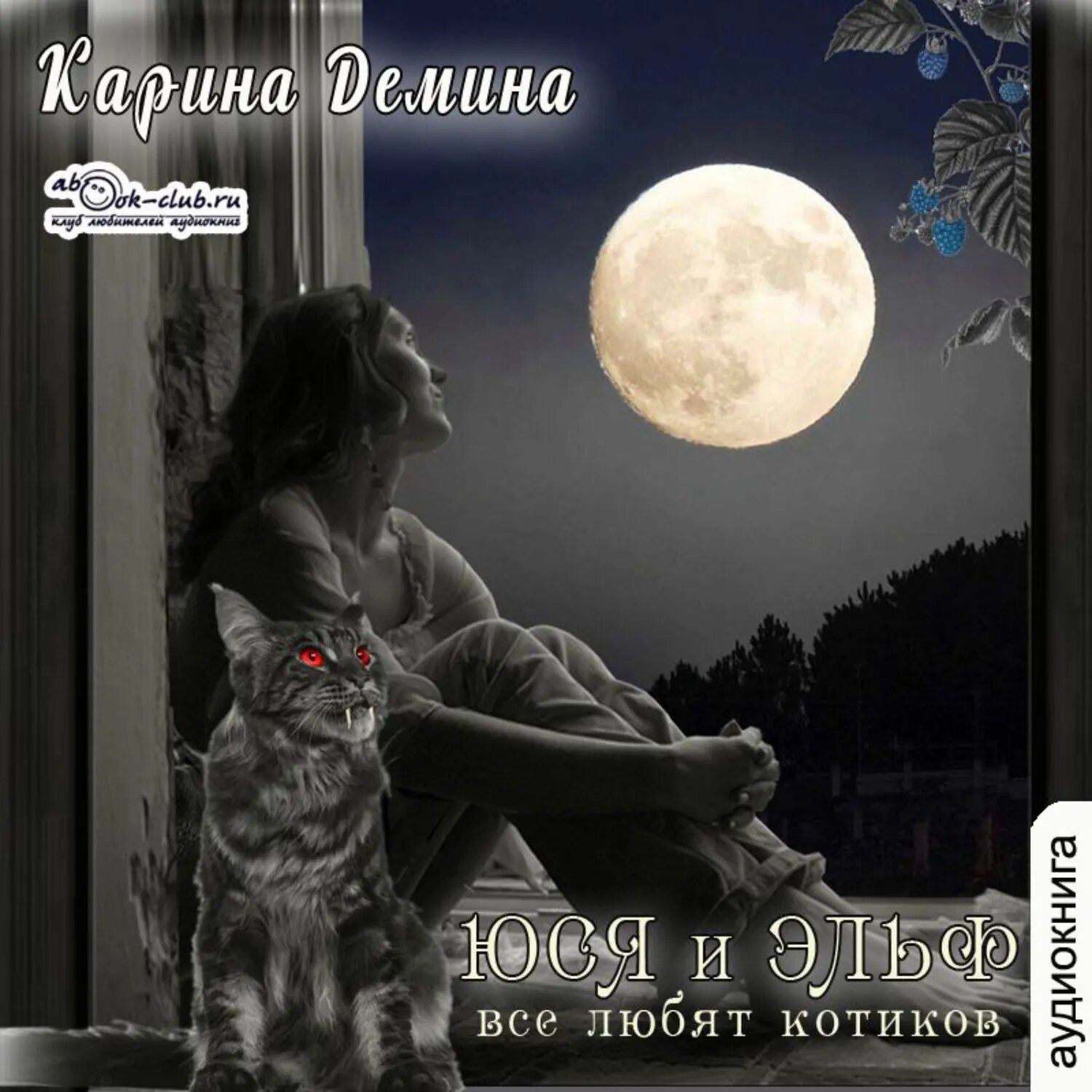 Юся и Эльф [Аудиокнига]