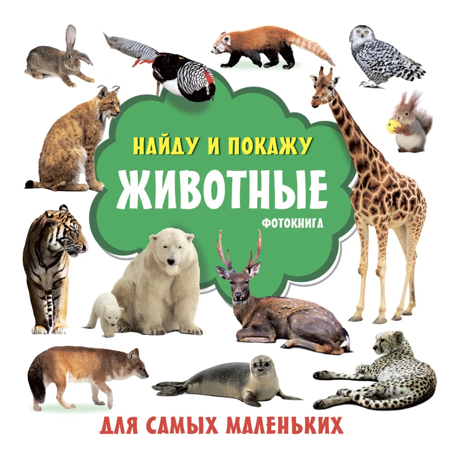 Животные. Фотокнига [Цифровая книга]