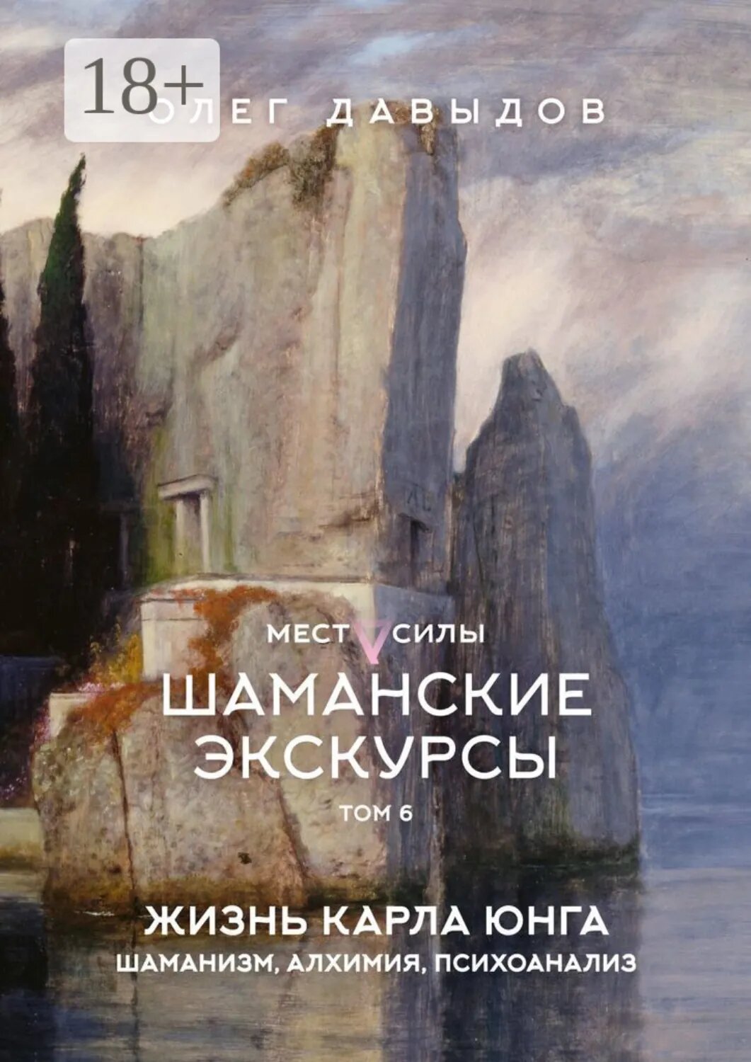 Места силы. Шаманские экскурсы. Том 6. Жизнь Карла Юнга. Шаманизм, алхимия, психоанализ [Цифровая книга]