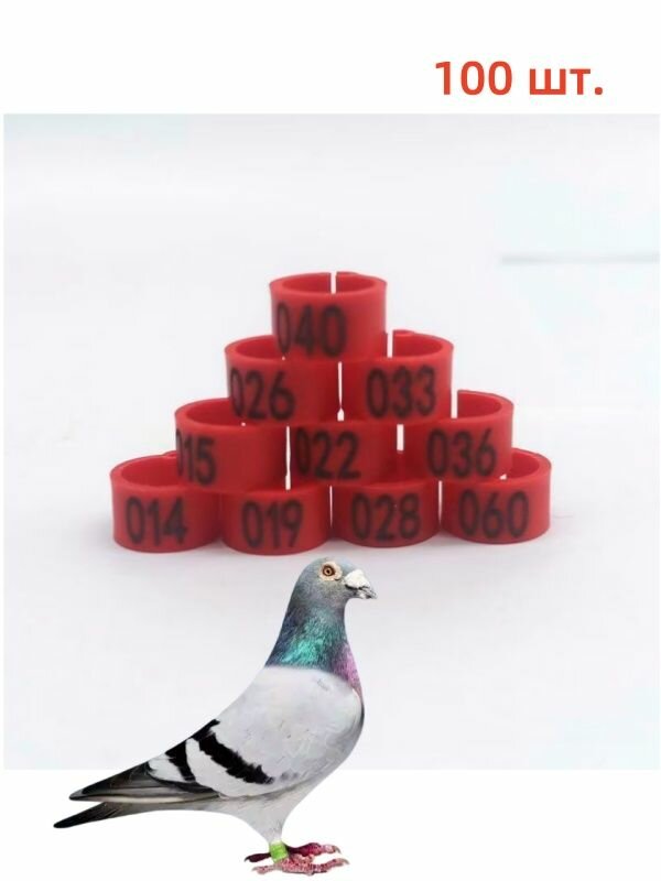 100 шт. Меточные кольца для птиц 8мм , маркировка для голубей, Меточные кольца