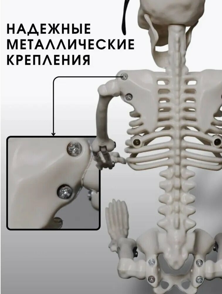 Интерьерная фигурка игрушка скелет — фото 1