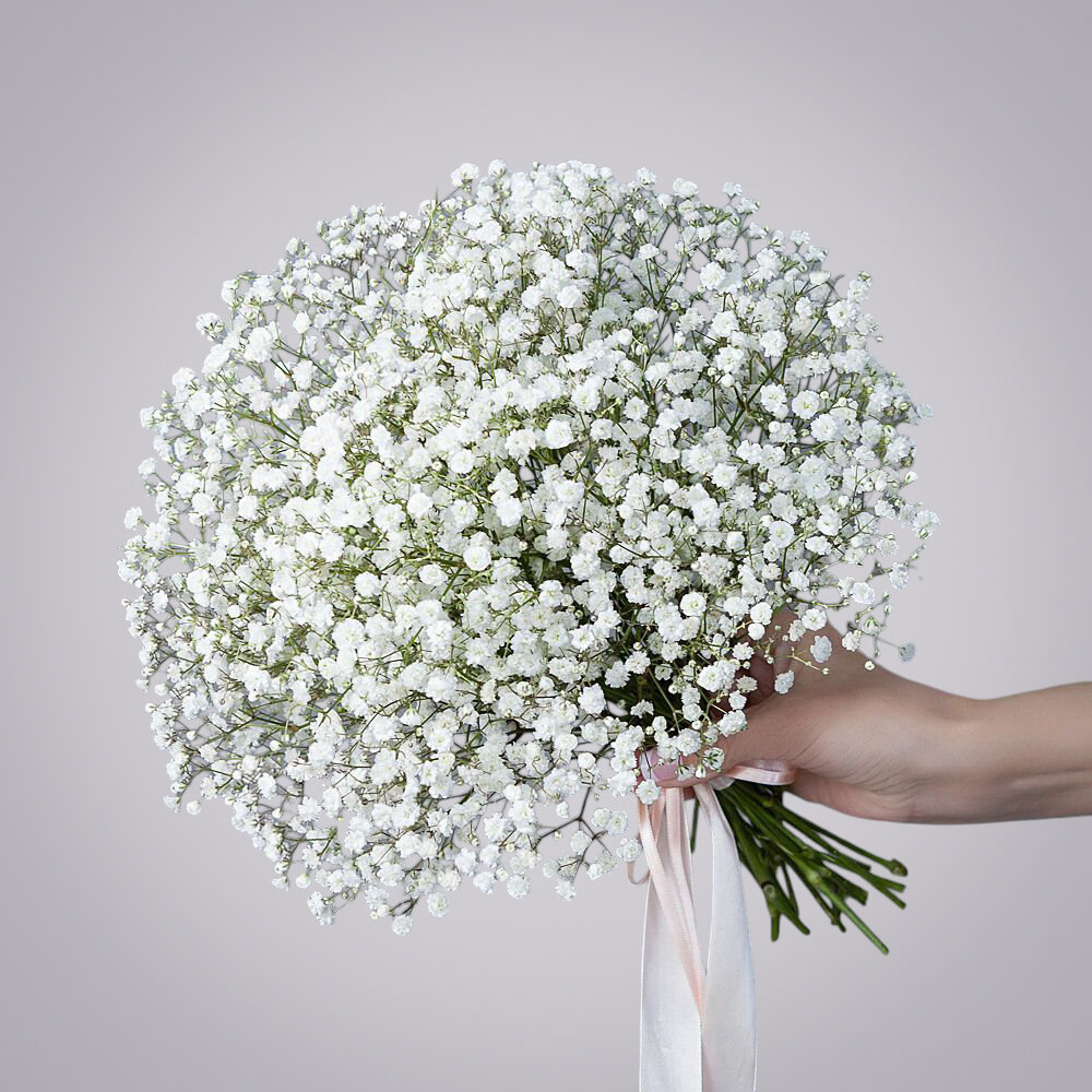 Монобукет из 5 белых Гипсофил